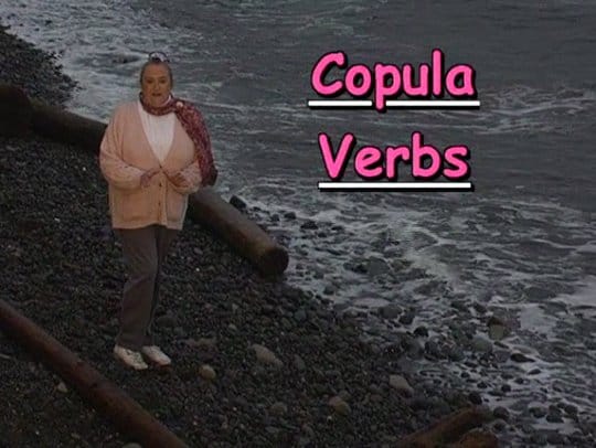 basic-11-copula-1 | Cozy Grammar