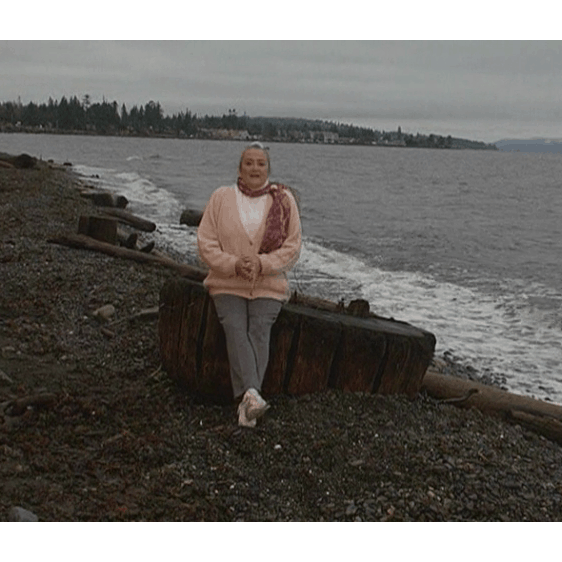 How to Remember Transitive and Intransitive Verbs – Cozy Grammar