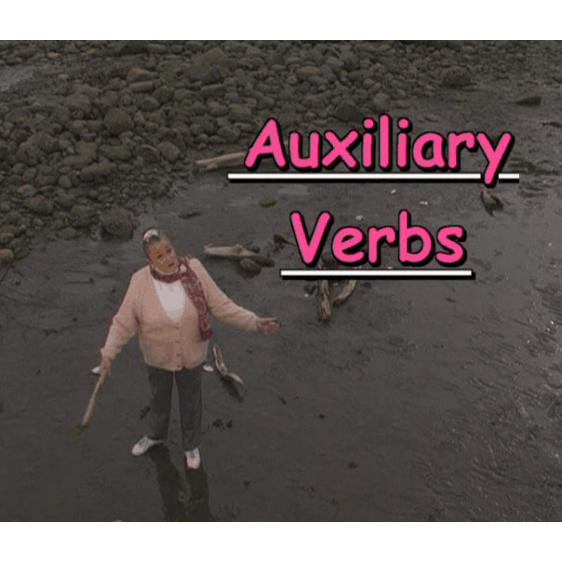 How Auxiliary or Helping Verbs Help – Cozy Grammar