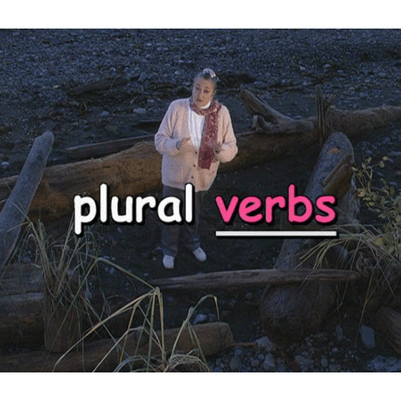 What are Plural Verbs? – Cozy Grammar