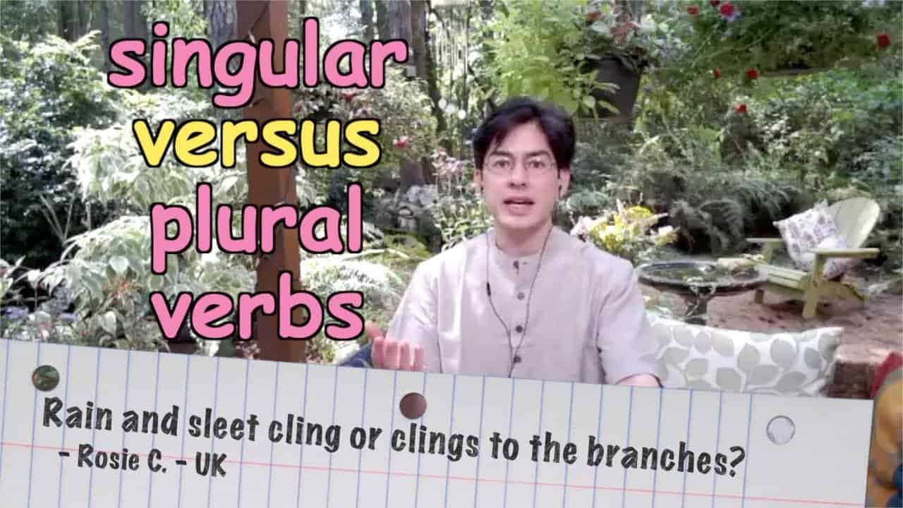 Singular vs Plural Verbs and Singular vs Plural Nouns – Ask Cozy Grammar