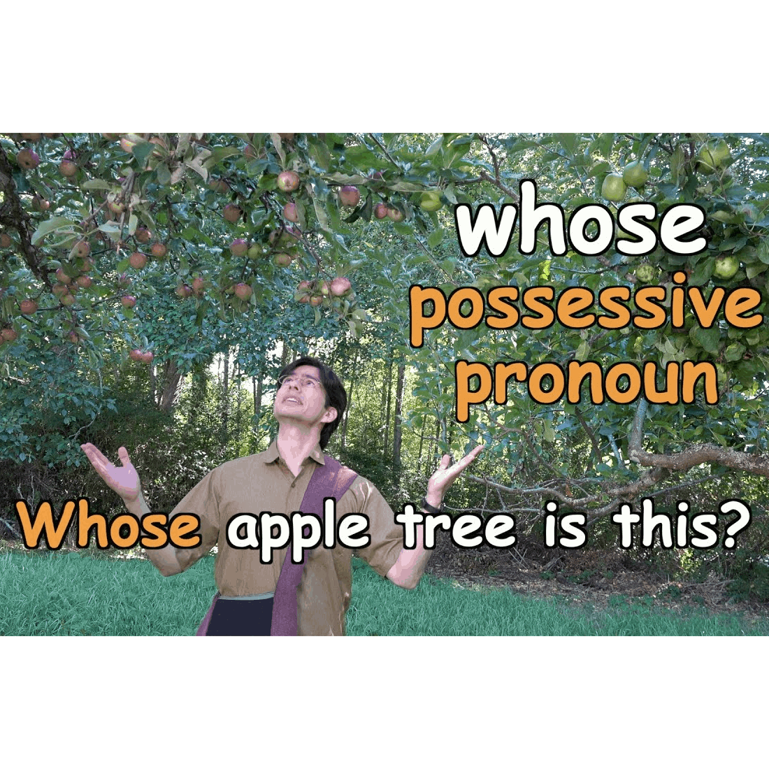 Whose or Who's? 3 Ways to Remember Grammar Easily – Cozy Grammar