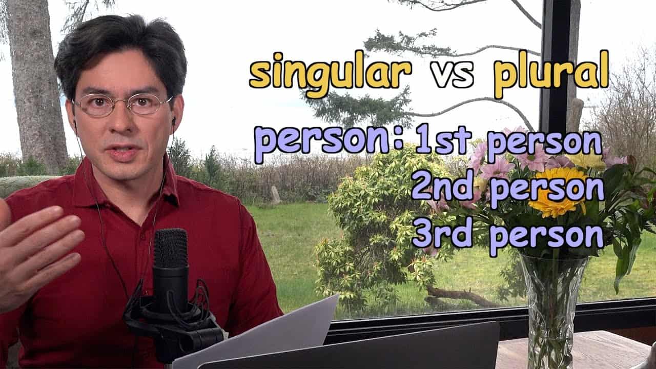 If "I" is Singular, Why Do We Use "Have" and Not "Has"? – Ask Cozy Grammar