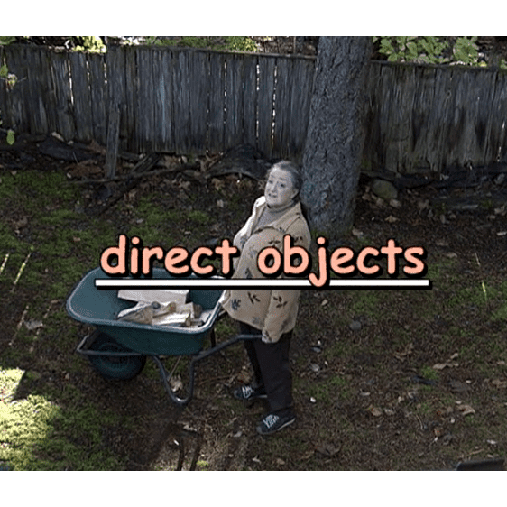 What is the Direct Object of the Verb? – Ask Cozy Grammar