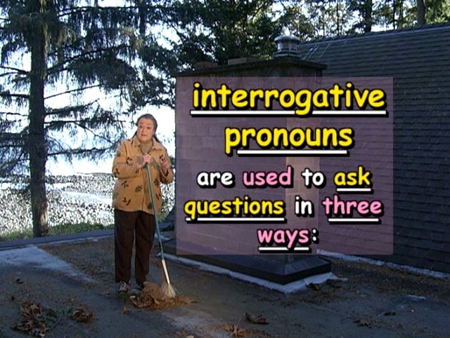 Three Ways that Interrogative Pronouns Ask Questions – Cozy Grammar