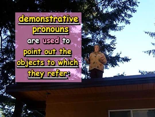 Demonstrative Pronouns: This, That, These, and Those – Cozy Grammar