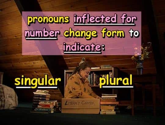 An Introduction to the Inflection of Pronouns for Number – Cozy Grammar