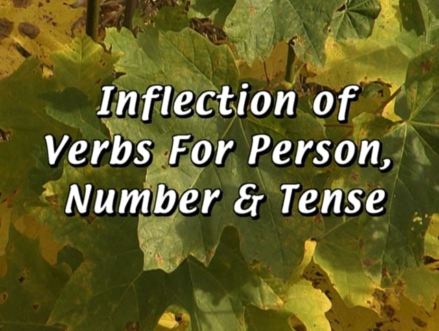 Inflection Of Verbs In English Grammar – Cozy Grammar