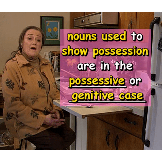 An Introduction to the Possessive or Genitive Case – Cozy Grammar